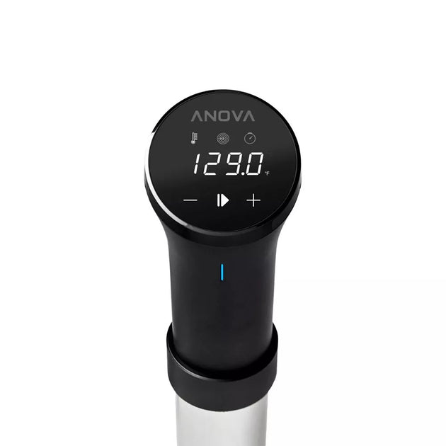 אנובה פרסיז'ן ANOVA PRECISION – Gorilla Grill